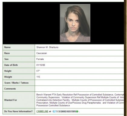 Brevard County's Most Wanted Fugitives Evade Justice - Space Coast Daily