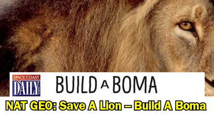 NATIONAL GEOGRAPHIC: Save A Lion – Build A Boma - Space Coast Daily