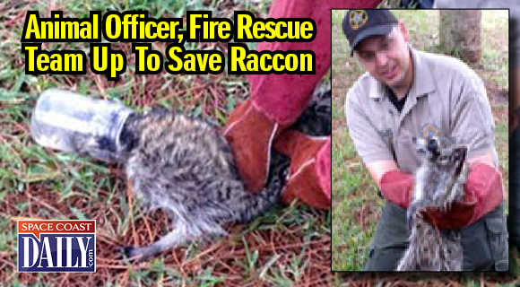 Animal Officer, Fire Rescue Team To Save Raccoon - Space Coast Daily