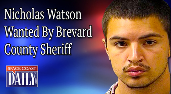 Nicholas Watson Wanted By Brevard County Sheriff - Space Coast Daily