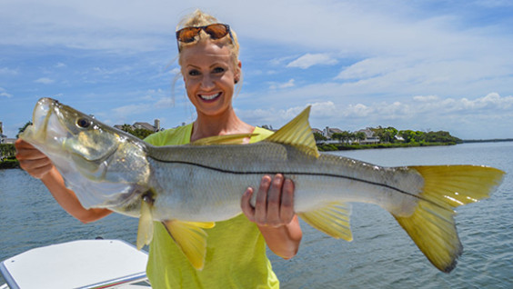 FWC: Statewide Snook Harvest Season Starts September 1 - Space Coast Daily
