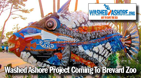 Washed Ashore Project Coming To Brevard Zoo Nov. 8, Features Artistic ...