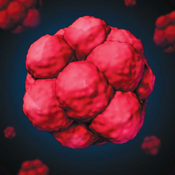 Regenerative Medicine Adult Stem Cells: The Science Behind the Magic ...