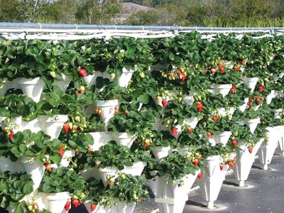 AVALON FARMS: Full-Blown Recreational Destination For Families - Space ...