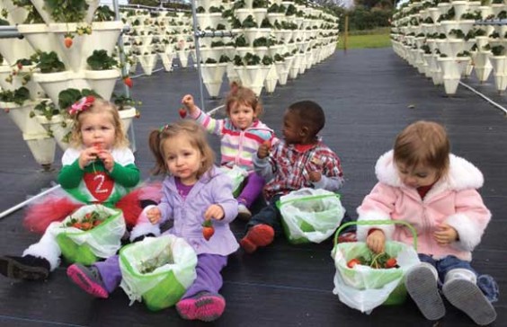 AVALON FARMS: Full-Blown Recreational Destination For Families - Space ...