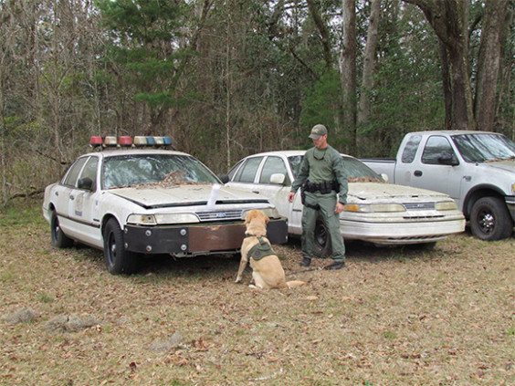 Florida Fish and Wildlife Commission Training Three New K-9 Officers ...