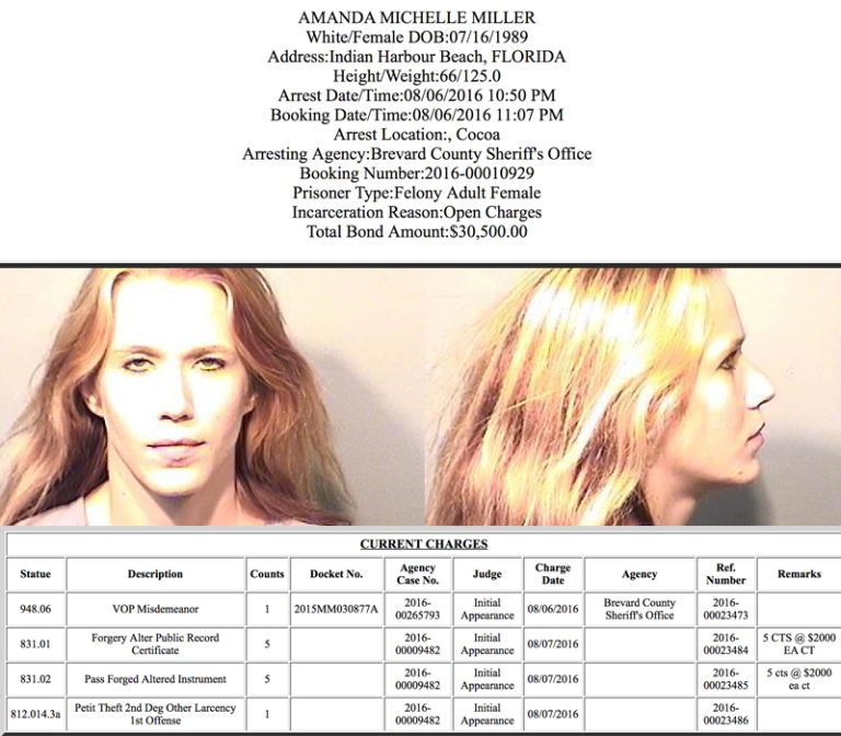 Arrests In Brevard County: August 7, 2016 - Space Coast Daily