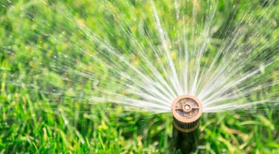 St. Johns River Water Management District Implements Watering ...