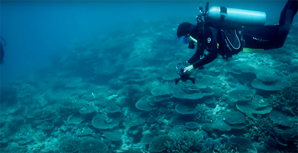 VIDEO: NASA's Three-Year CORAL Mission To Assess Condition of ...