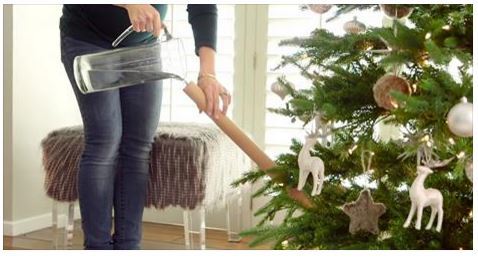 Tips For A Safe Christmas: Here's Advice To Keep Your Holiday Safe ...