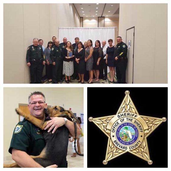 BCSO Animal Services Unit Named 'Agency of the Year' By Florida Animal ...