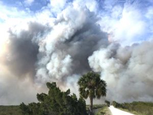 UPDATE: 4,738-Acre Wildfire At Merritt Island National Wildlife Refuge ...