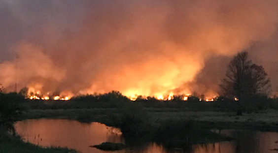 Florida Forest Service Highlights Benefits of Controlled Prescribed ...