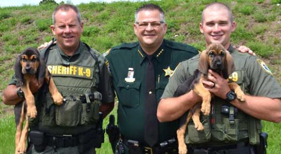 Brevard County Sheriff’s Office Adds Two 'Really Cute' Deputies To ...