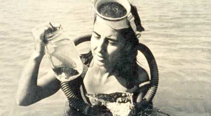 VIDEO: Newly Discovered Shark Species Honors Female Pioneer 'Shark Lady ...