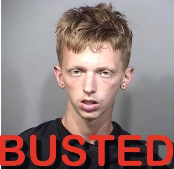 Brevard County Sheriff's Agents Arrest Tyler Olson in Connection With ...