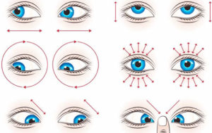 Quick Eye Relaxation Exercises for Students Includes Techniques To ...