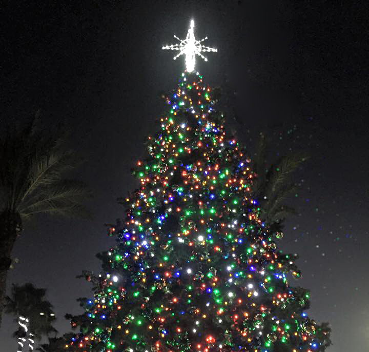 EVENT SPOTLIGHT: Tree Lighting at The Avenue Viera Tomorrow Kicks off ...
