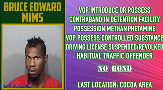 WHEEL OF FUGITIVE: Brevard Sheriff’s Office Names Bruce Edward Mims ...