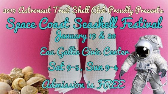 Astronaut Trail Shell Club to Present 39th Annual Space Coast Seashell ...