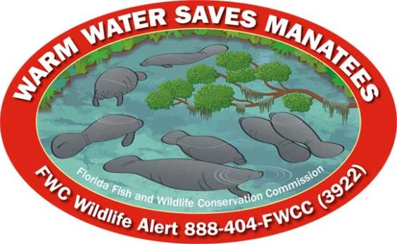 New Manatee and Sea Turtle Decals by FWC are Coming Soon to a Bumper ...