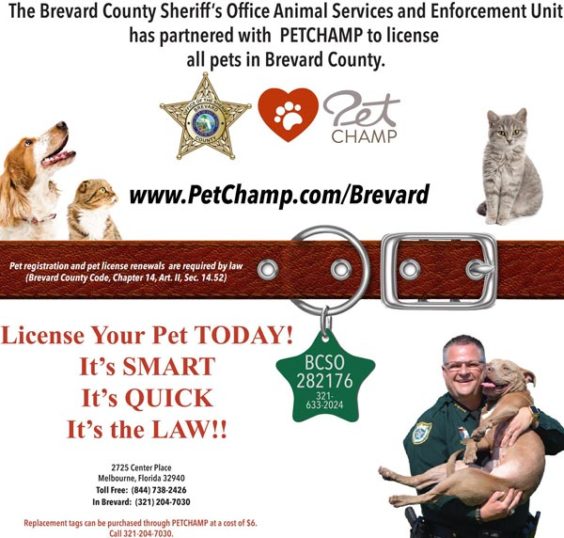 FROM THE DESK OF SHERIFF WAYNE IVEY: Register Your Pets with Brevard ...