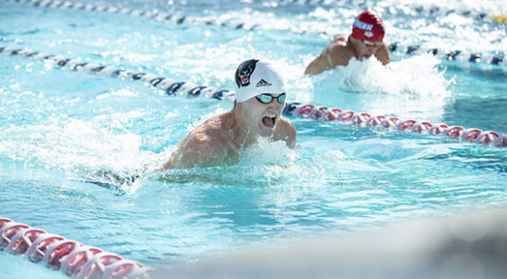 Florida Tech Swimming Finishes in Second Place at Panther Invite ...