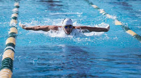 Florida Tech Panthers Men's Swimming Concludes Meet Against No. 21 ...