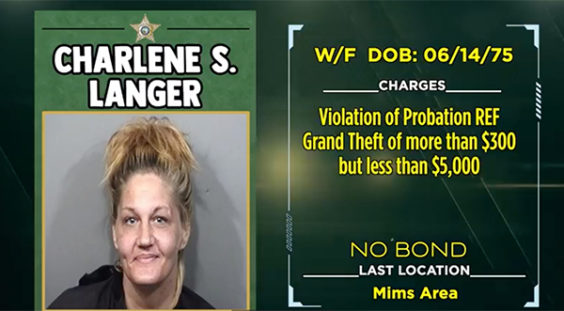 WHEEL OF FUGITIVE: Brevard Sheriff’s Office Names Charlene S. Langer ...