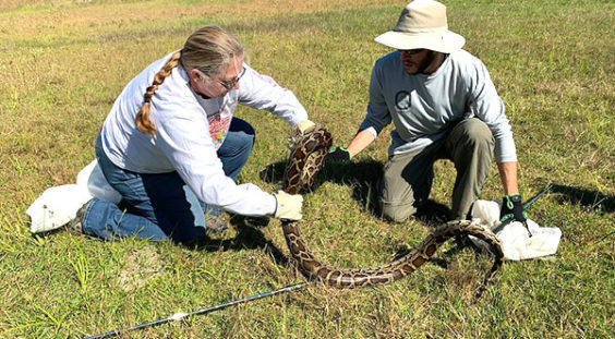 Florida Fish and Wildlife Conservation Commission Announce New $10,000 ...