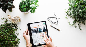 Craigslist Western Massachusetts - Space Coast Daily