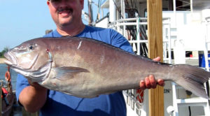 Florida Fish and Wildlife Modifies 2022 Blueline Tilefish Recreational ...