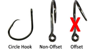 FWC Approves New Hook Regulations to Improve Reef Fish Catch-and ...