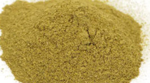 The Anti Candida Benefits of Oregon Grape Root - Space Coast Daily