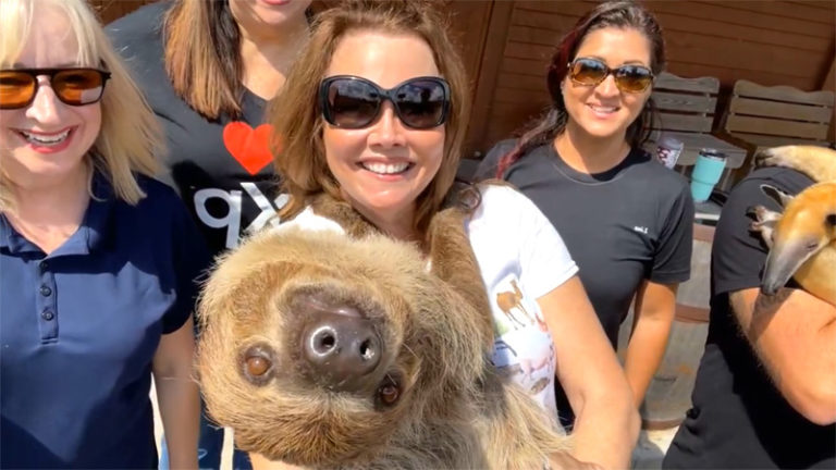 Romelia Farms Wildlife Sanctuary Archives - Space Coast Daily