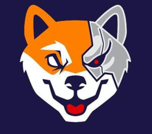 Cybershinu has Unveiled the Best New Meme Coin of 2022 - Space Coast Daily