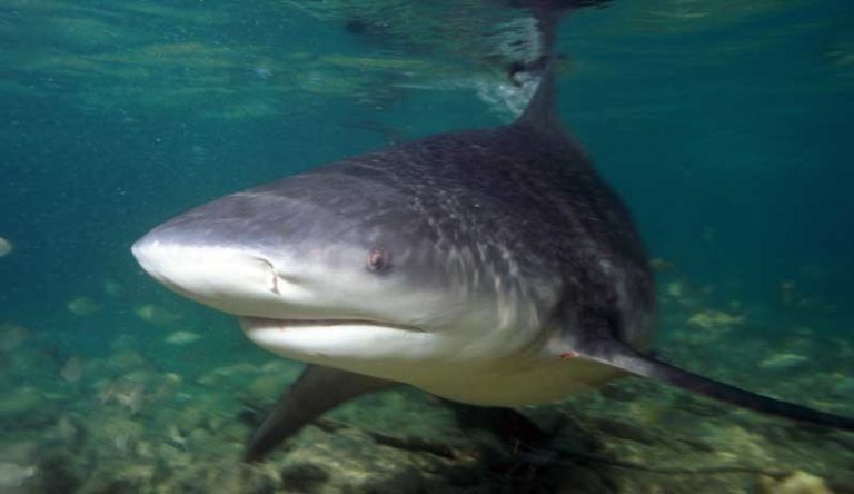 Florida Tech Grad Student Shannon Barry to Appear on National ...