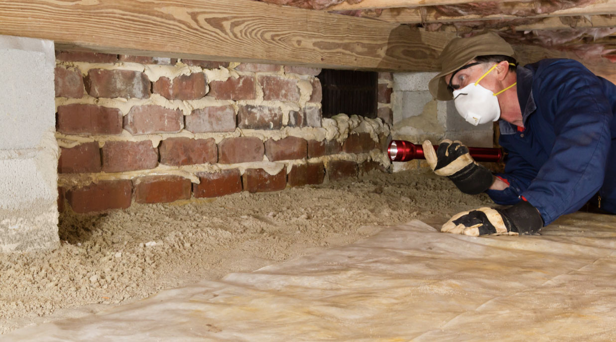 The Ultimate Guide to Keeping Your Crawl Space Clean and Safe - Space ...