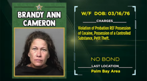 WHEEL OF FUGITIVE: Brevard Sheriff’s Office Names Brandy Ann Cameron ‘Fugitive of the Week ...