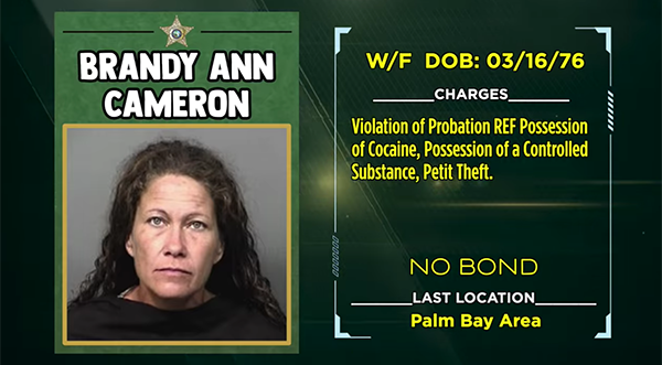 WHEEL OF FUGITIVE: Brevard Sheriff’s Office Names Brandy Ann Cameron ‘Fugitive of the Week ...