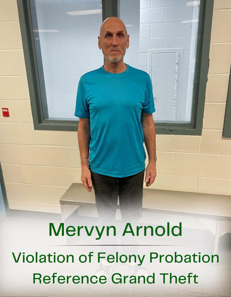 Multiple Suspects Arrested in Brevard County Join 'Ivey's Iron Bar ...