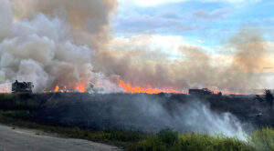 Palm Bay Fire Rescue B-Shift Crews Extinguish Brush Fire in The ...