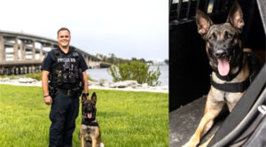 Cocoa Police Department’s K9 Draco to Receive Donation of Body Armor ...