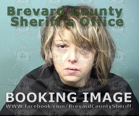 Arrests In Brevard County: January 18, 2024 – Suspects Presumed ...