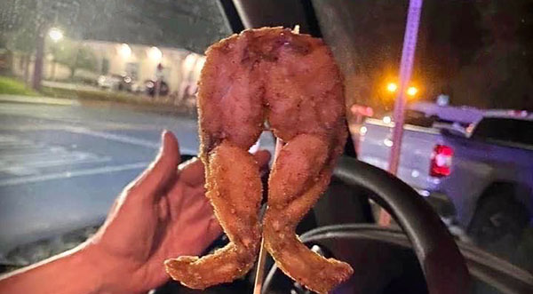 33rd Annual Fellsmere Frog Leg Festival Set This Weekend, Famous for ...