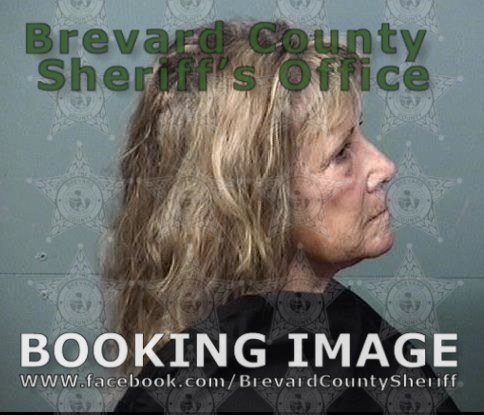 Arrests In Brevard County: February 14, 2024 – Suspects Presumed ...