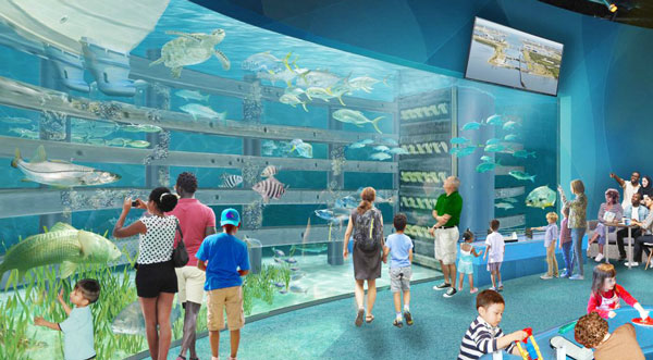 Brevard Zoo Announces New Port Canaveral Aquarium Will Be Named the ...