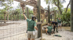 Brevard Zoo Reaccredited By Association of Zoos and Aquariums, Among Best in the Nation - Space ...