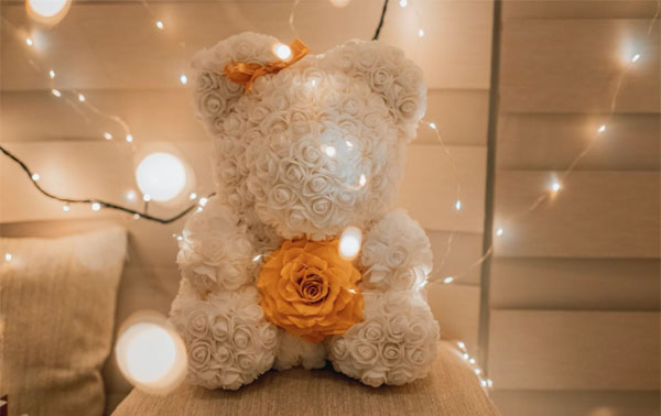 How to Choose the Perfect Rose Bear for Special Occasions? - Space ...