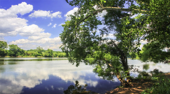 St. Johns River Water Management District Implements Watering ...